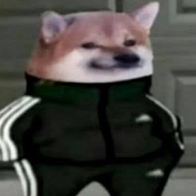 pallove pa Serviços, Packs, Fotos, Vídeos e Perfis