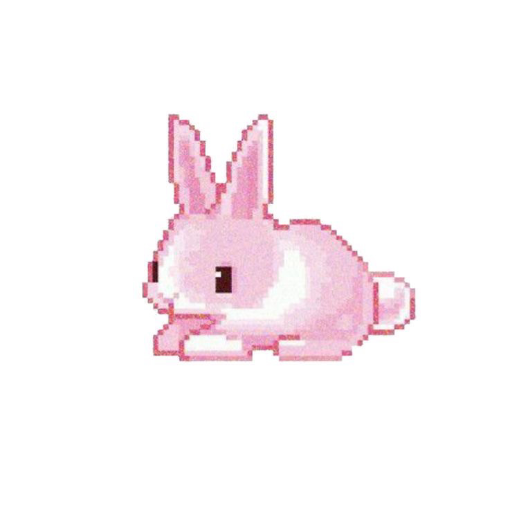 emi bunny Serviços, Packs, Fotos, Vídeos e Perfis