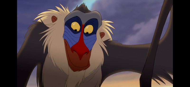 vitin Serviços, Packs, Fotos, Vídeos e Perfis